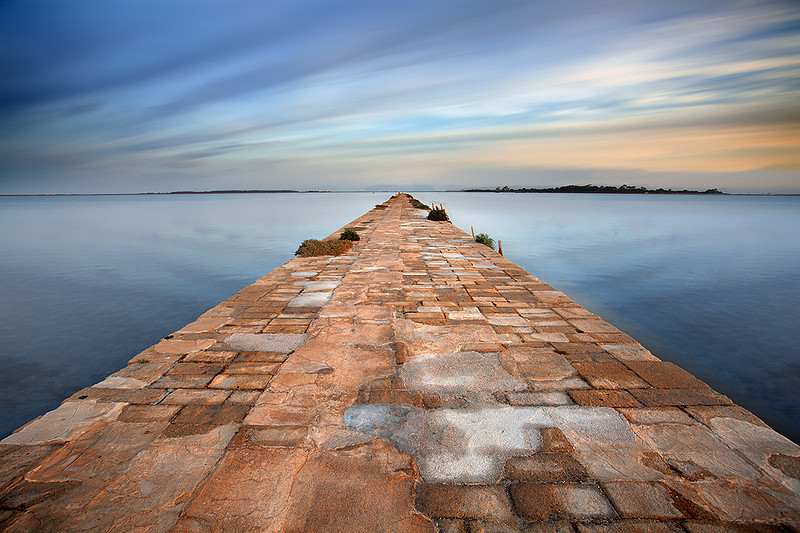 Natural Perspective | Abstract